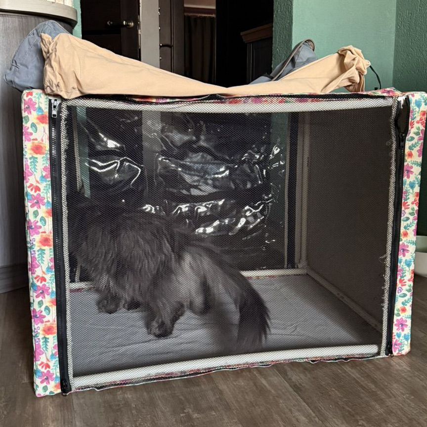 Выставочная палатка для кошек