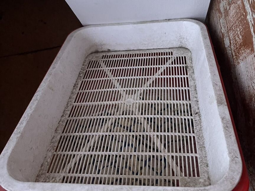 Лоток для кошки