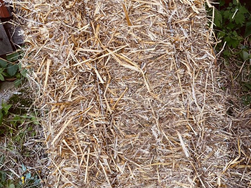 Солома пшеничная от 1 тюка доставка