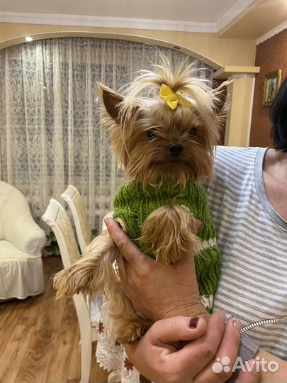 Микро девочка