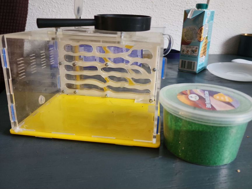 Формикарий, дом для муравьев