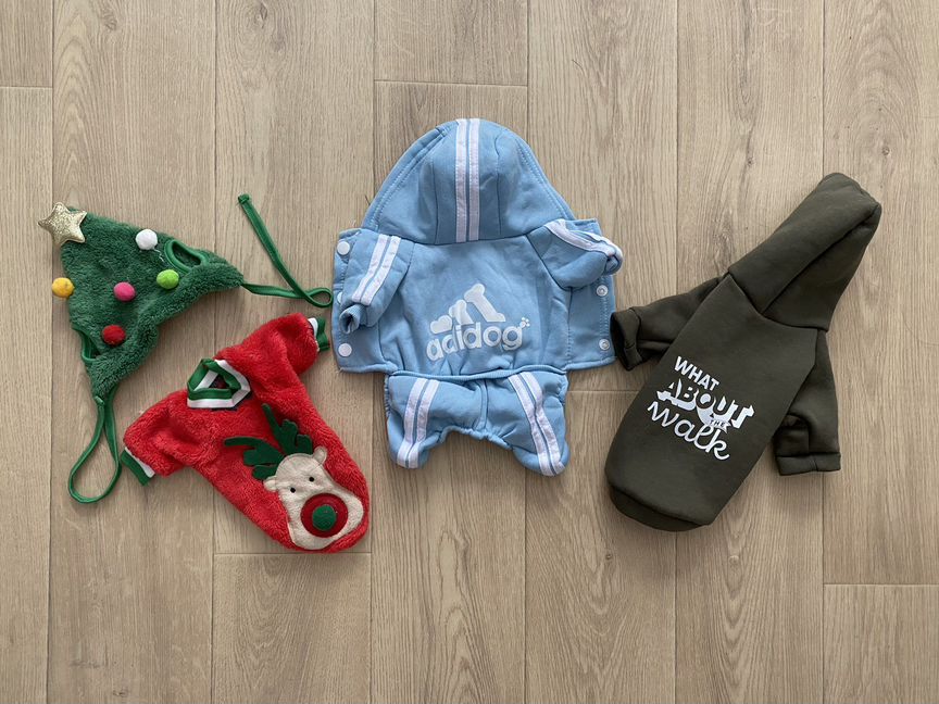 Костюм для собаки