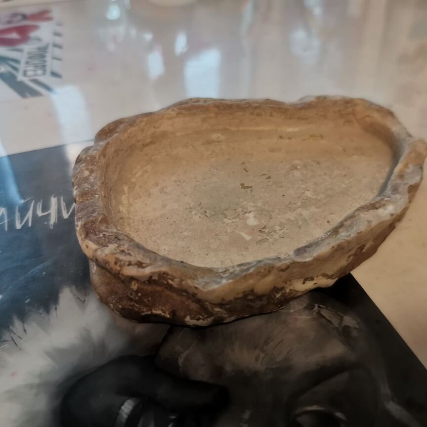 Миска для рептилий