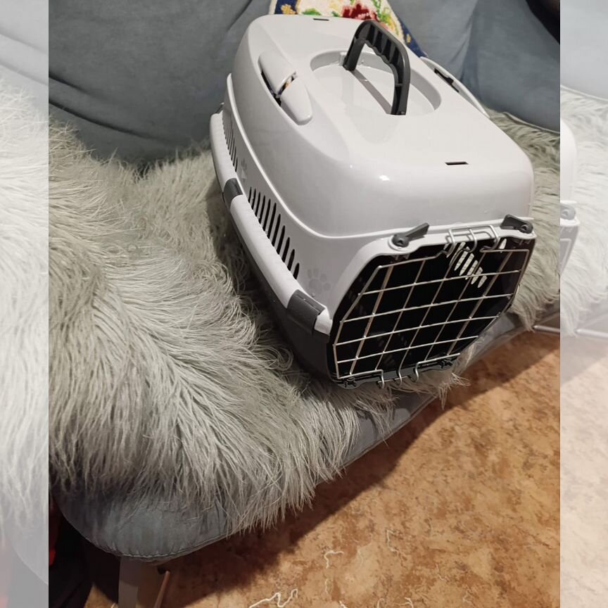 Переноска для кошек пластиковая бу