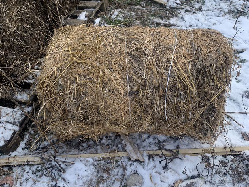 Сено люцерны в рулонах