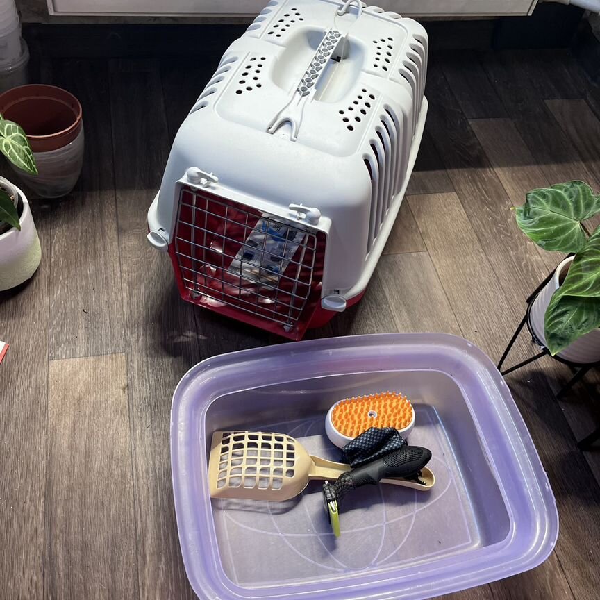 Переноска лоток и прочее набором