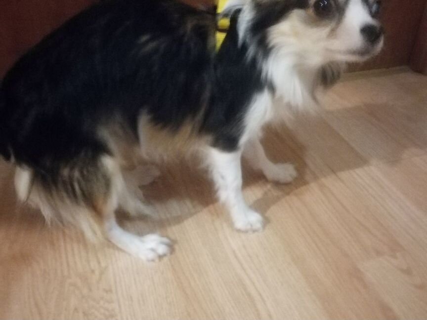 Мальчишечка в добрые руки