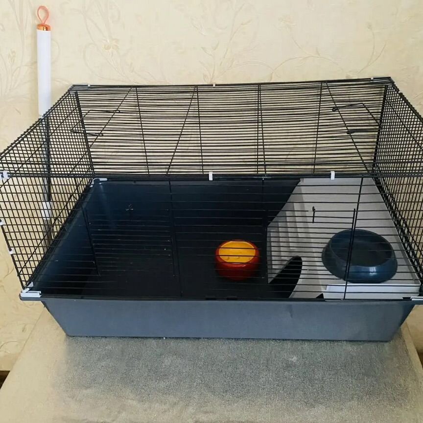 Клетка