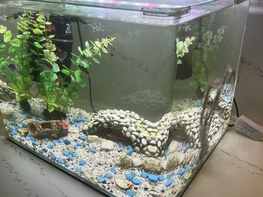 Аквариум NanoCube Dennerle
