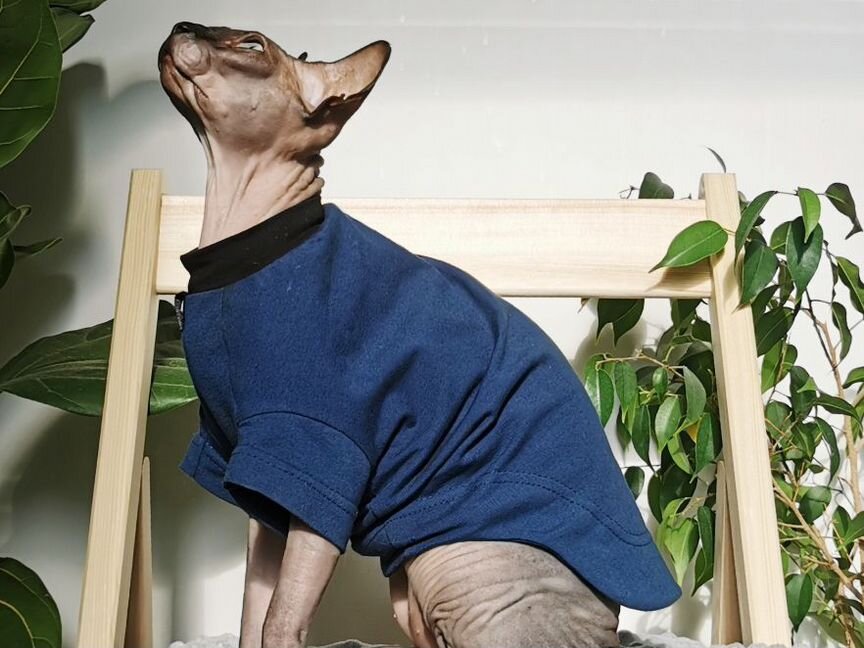 Футболка для сфинкса