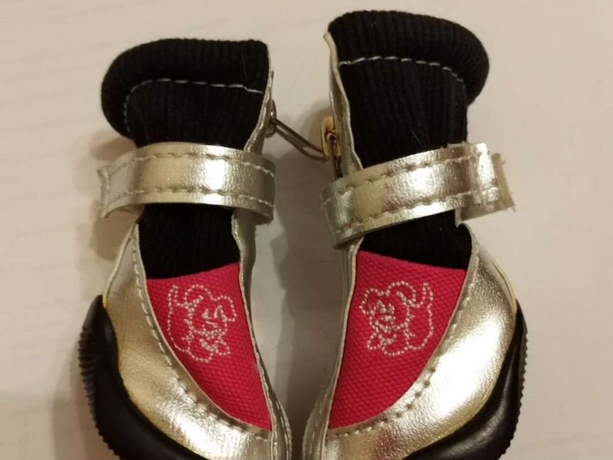 Обувь для маленьких собак