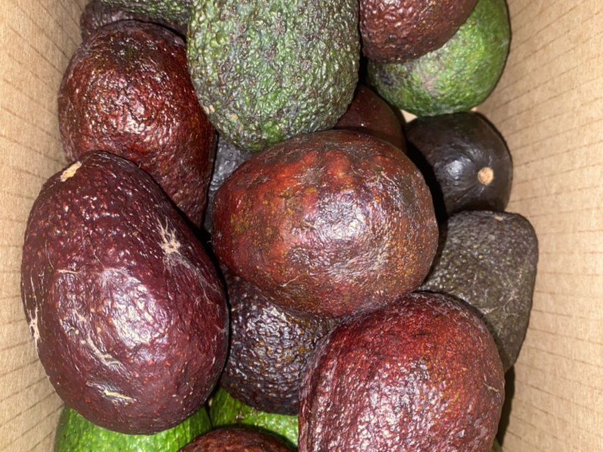 Продукты для животных