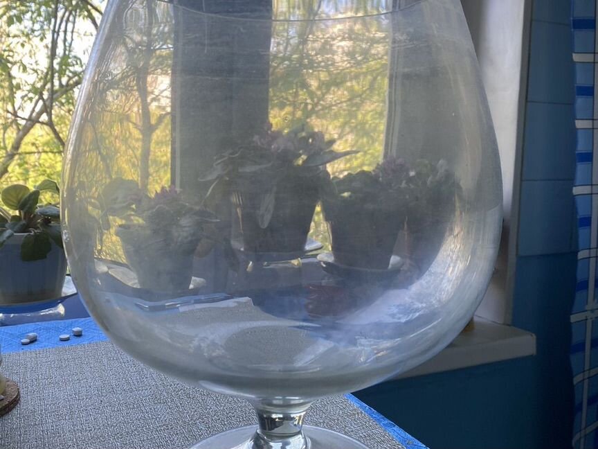 Аквариум в виде бокала
