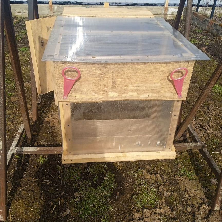 Клетка для цыплят