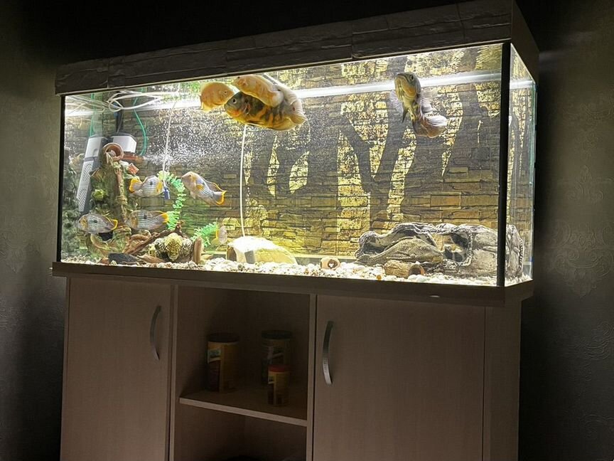 Аквариум 320 литров