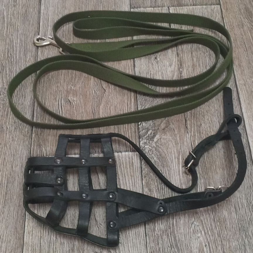 Намордник, поводок