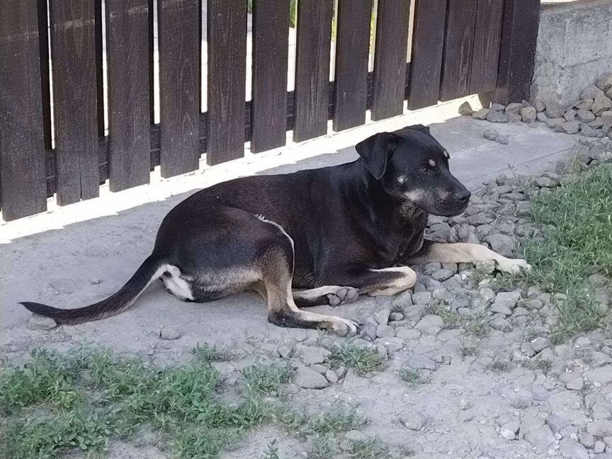 Лия ждет свою семью