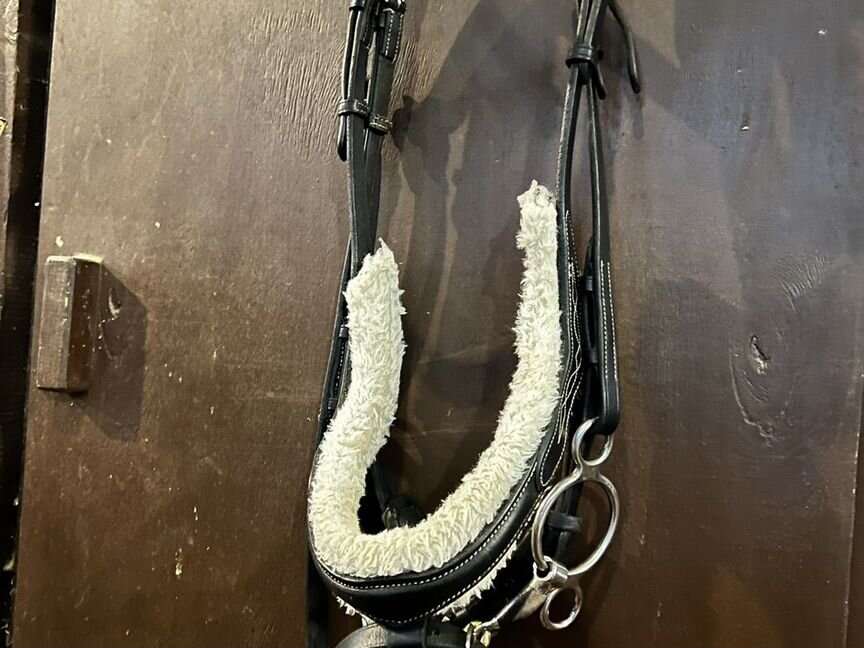 Уздечка cob