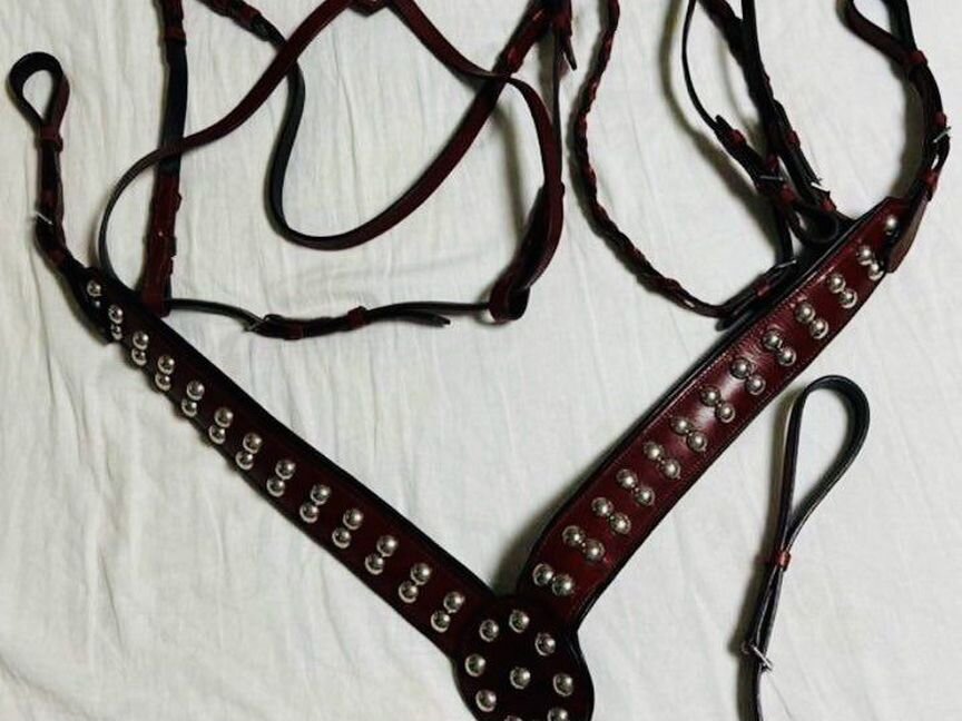 Оголовье, повод подперсье