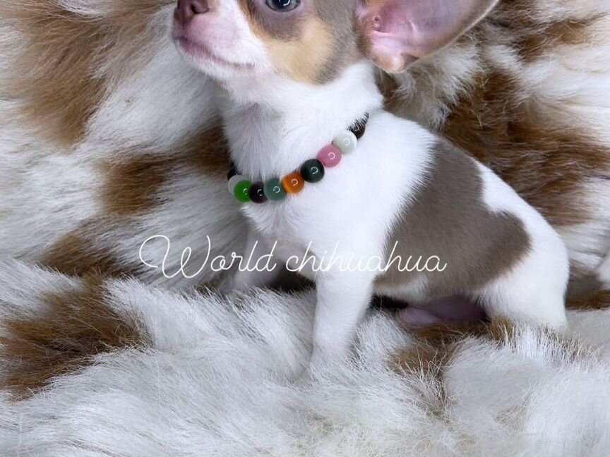 Мальчик Один на Миллион