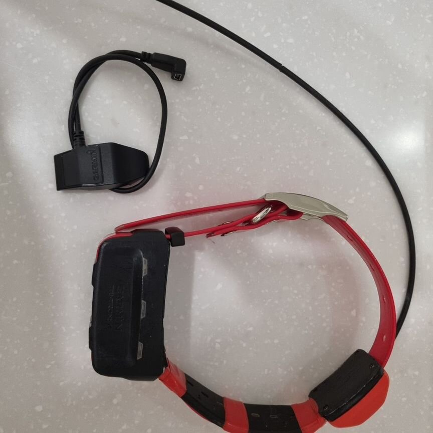 Gps ошейник для собак