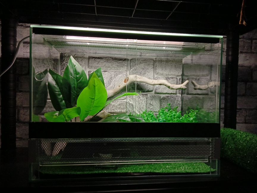 Террариум для эублефара
