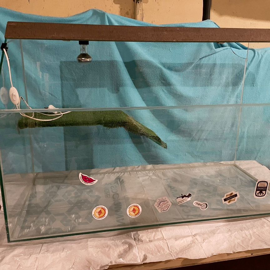 Террариум для черепашек