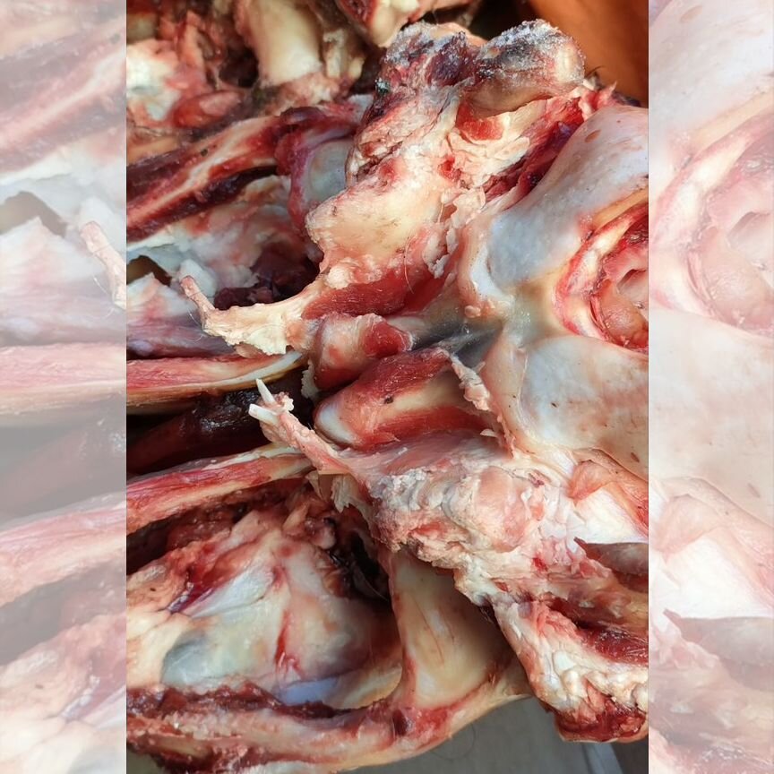 Говяжьи головы, кости крс