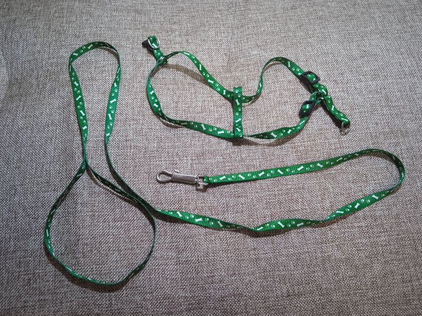 Поводок для собак