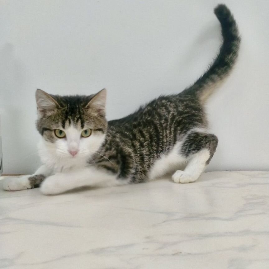 Саид из парка