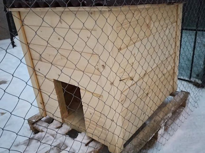 Будка 1х1 м с утеплением 50 мм со съемной крышей