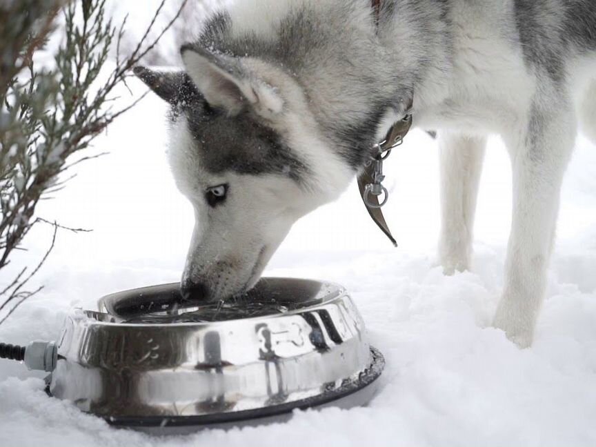 Миска с подогревом для животных 1.8л