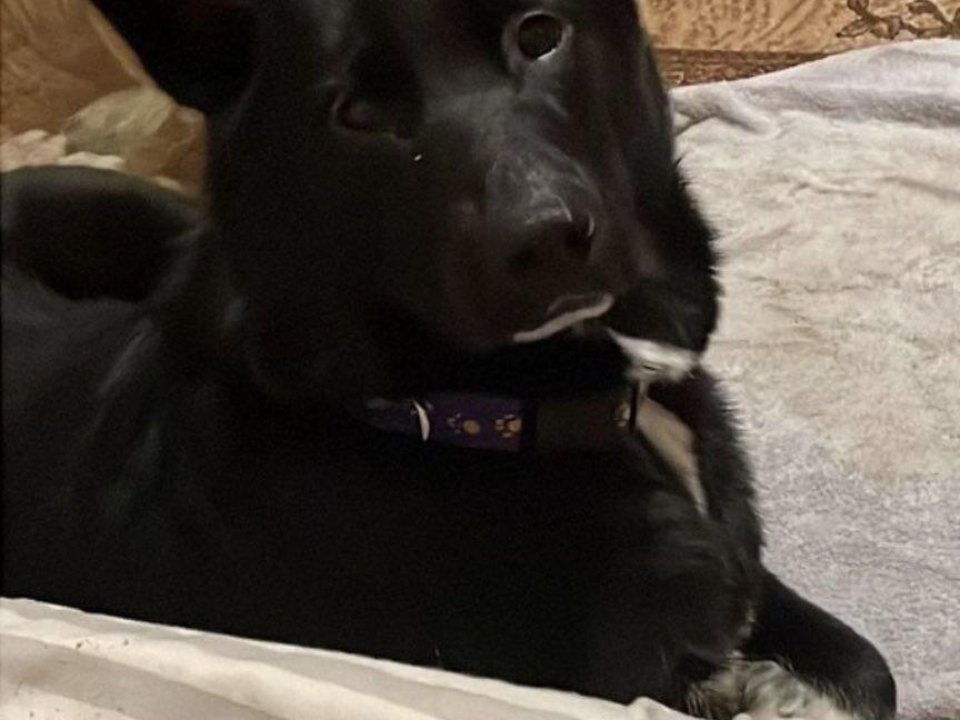 Тимур ждет саоего Человека