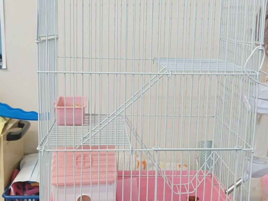 Клетка для хомяка с крысой