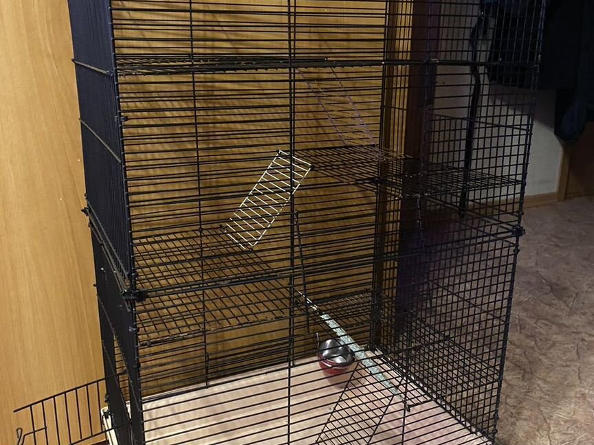 Большая клетка для крыс