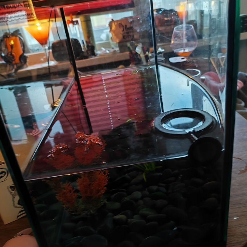 Аквариум панорамный