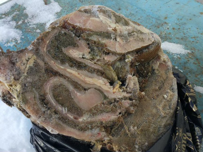 Рубец, фарш на корм собакам