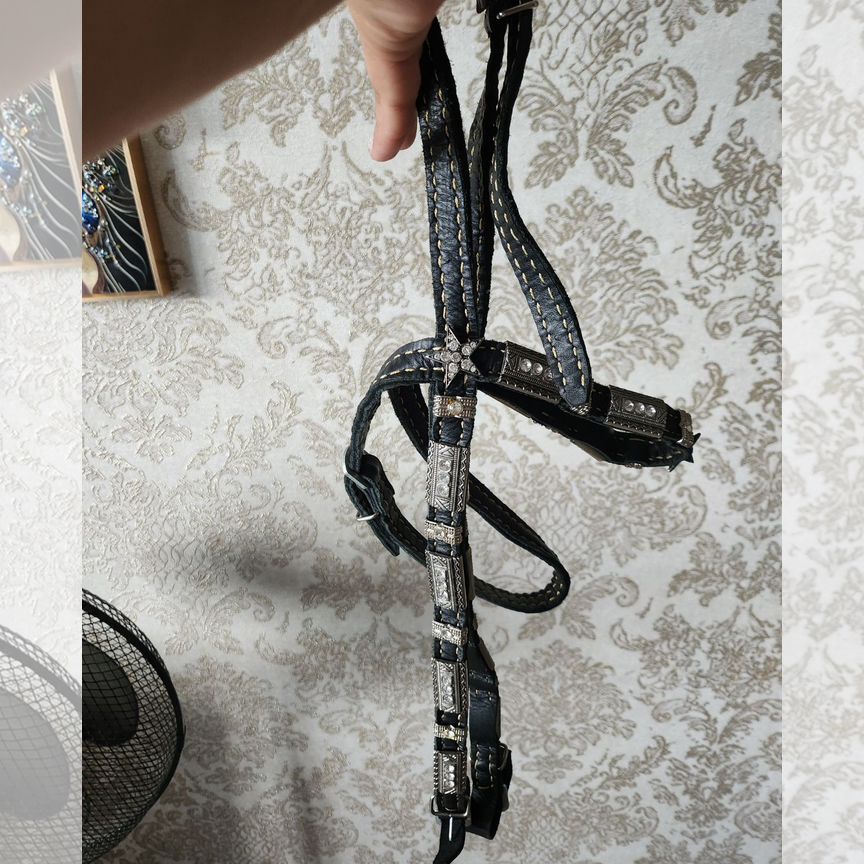 Сбруя для лошади
