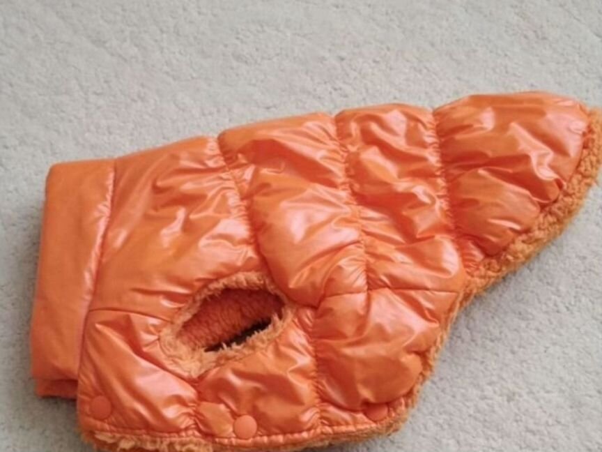 Одежда для маленькой собачки