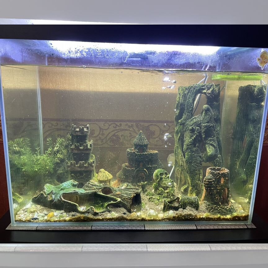 Аквариум с рыбками