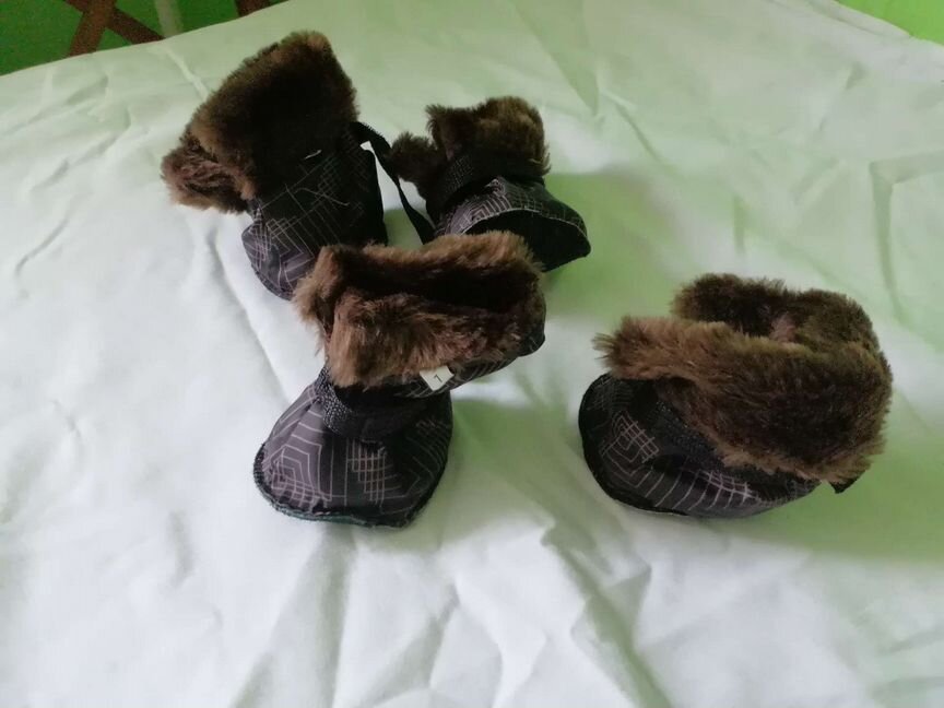 Обувь для крупных собак
