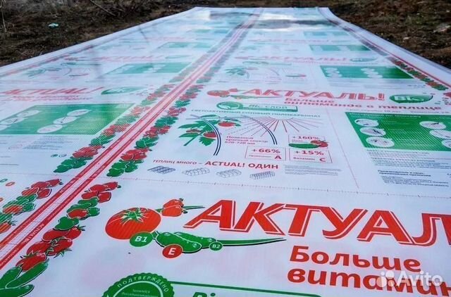 Сотовый поликарбонат для теплицы купить в Нижнем Новгороде | Товары для ...