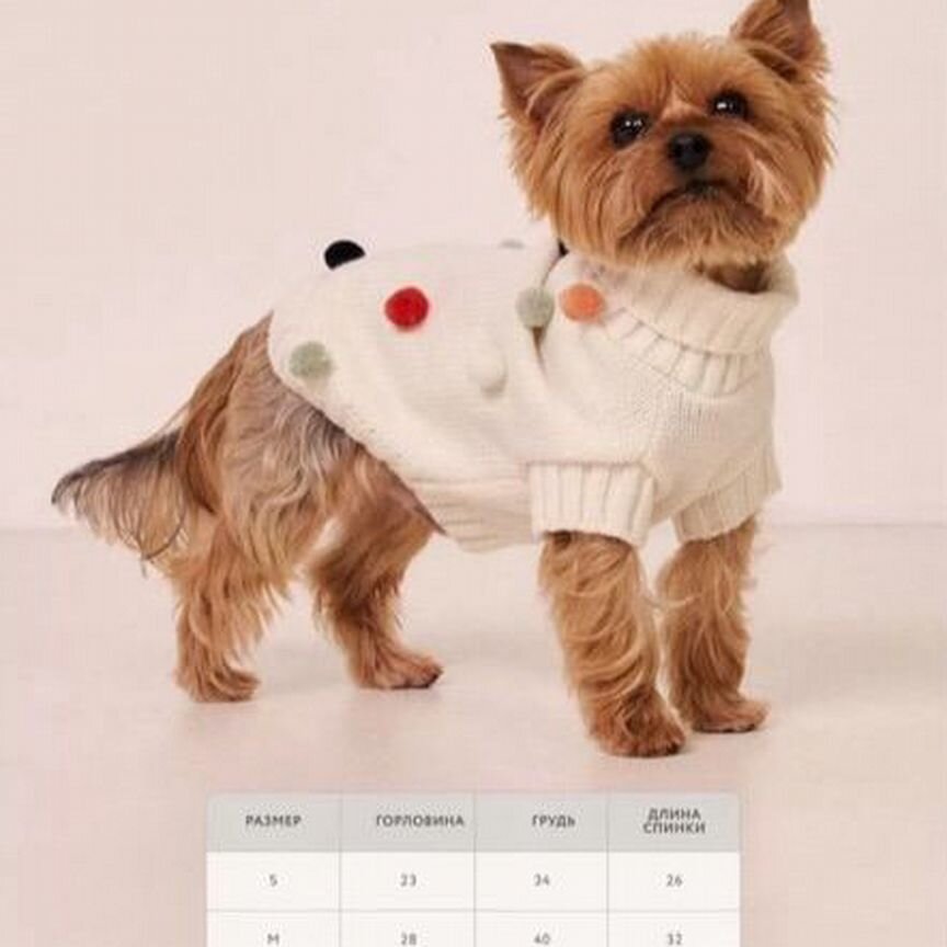 Свитер для животных zarina