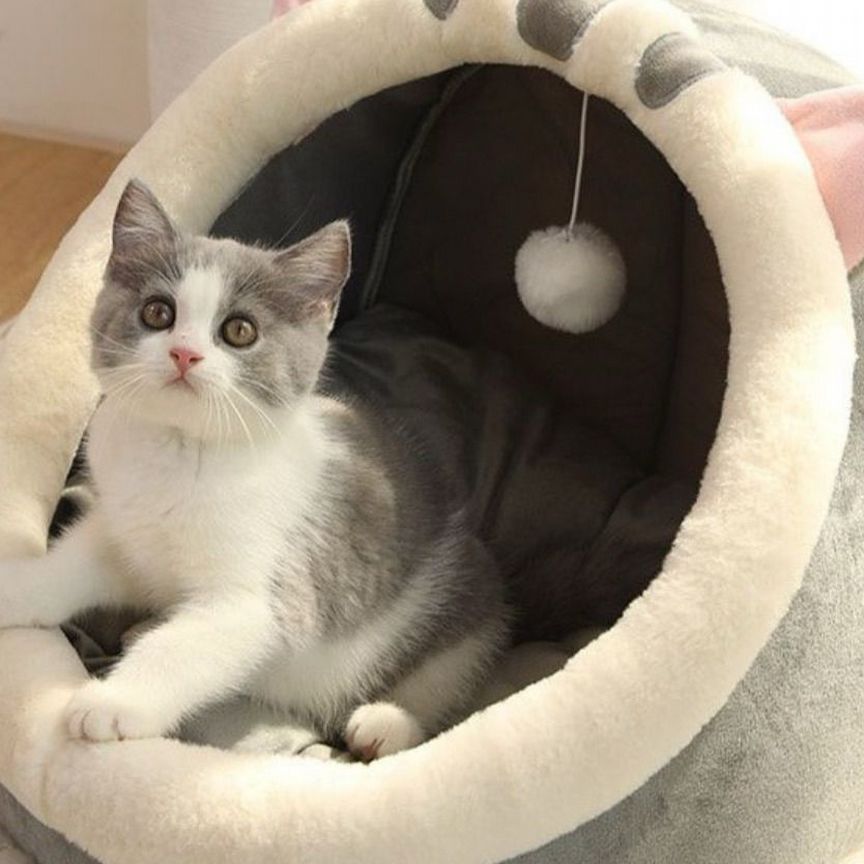 Лежанка для кошек