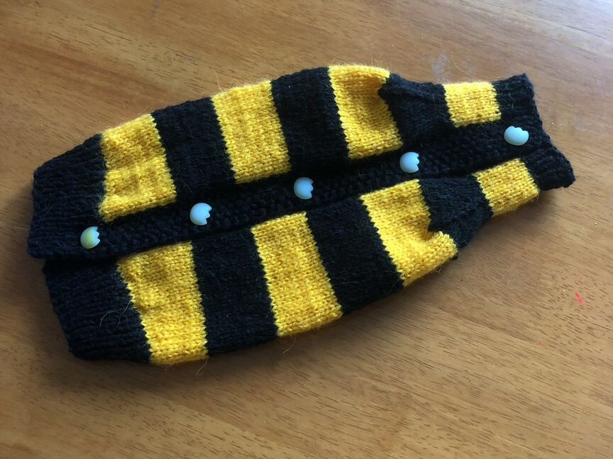 Одежда для собак