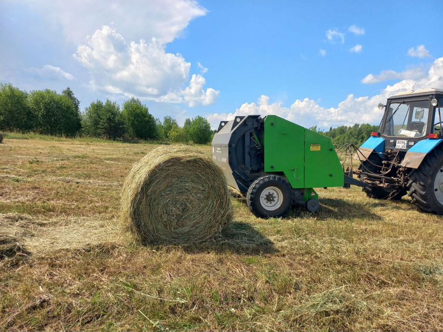Сено в рулонах (Доставка, обмен крс)