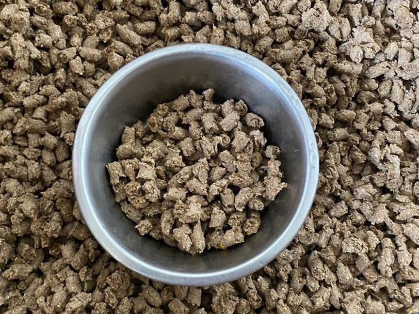 Корм для собак