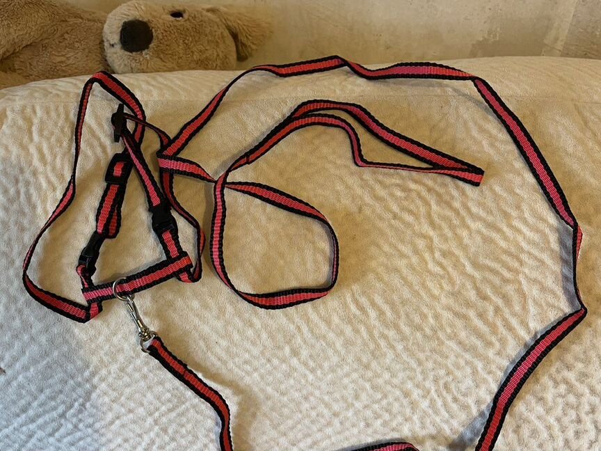 Шлейка для маленькой собаки