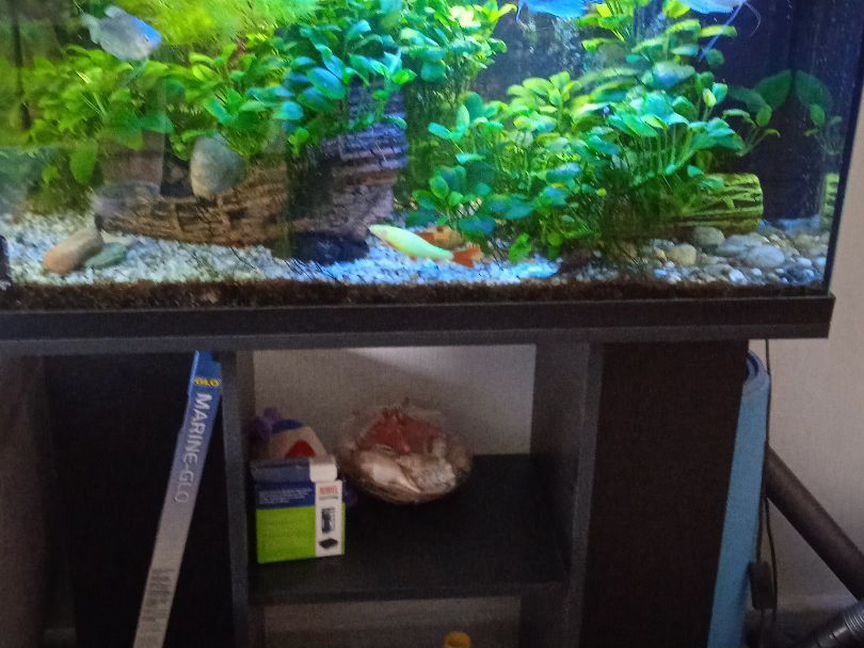 Аквариум с тумбой и рыбками