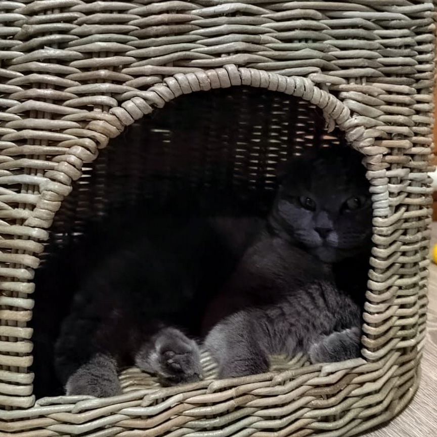 Домик для кошки плетеный